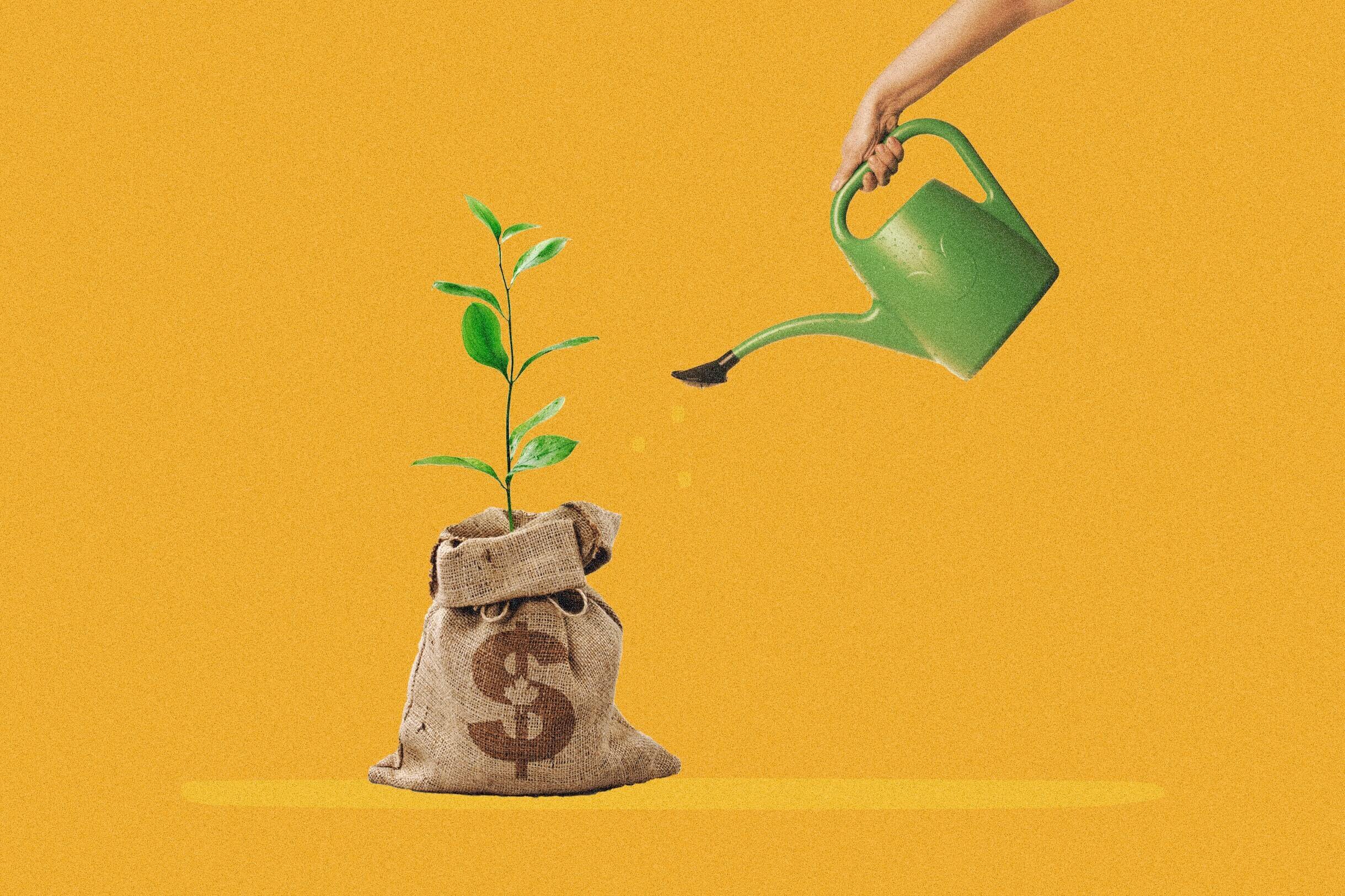 How do RESPs work? | CST Spark